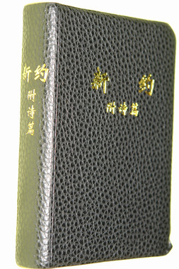 Chinese New Testament and Psalms LARGE PRINT