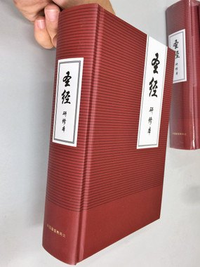 The Ultimate Chinese Study Bible - Union Version