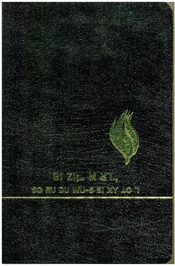 Full Life Study Bible in Lisu Language