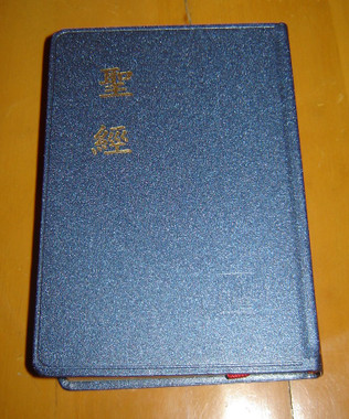 The Holy Bible in Chinese Vertical Script | Shen Edition