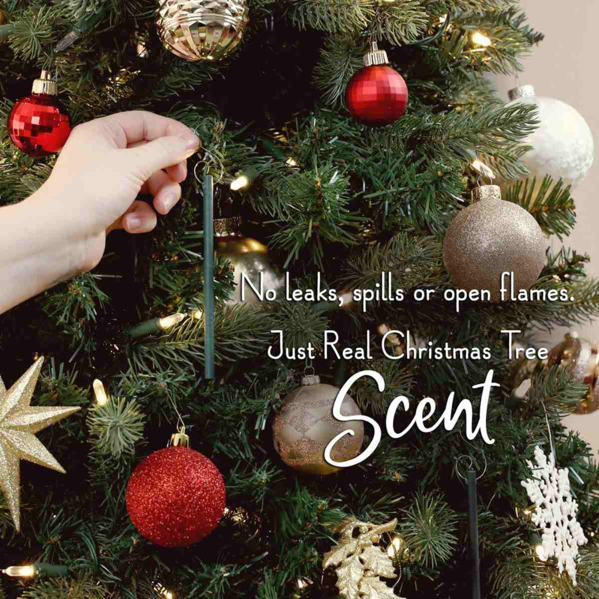 Scentsicles Two Dashes of Cinnamon - Christmas Elves