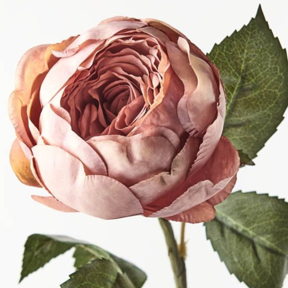 Dusty Pink Rose English - 53cm - Christmas Elves