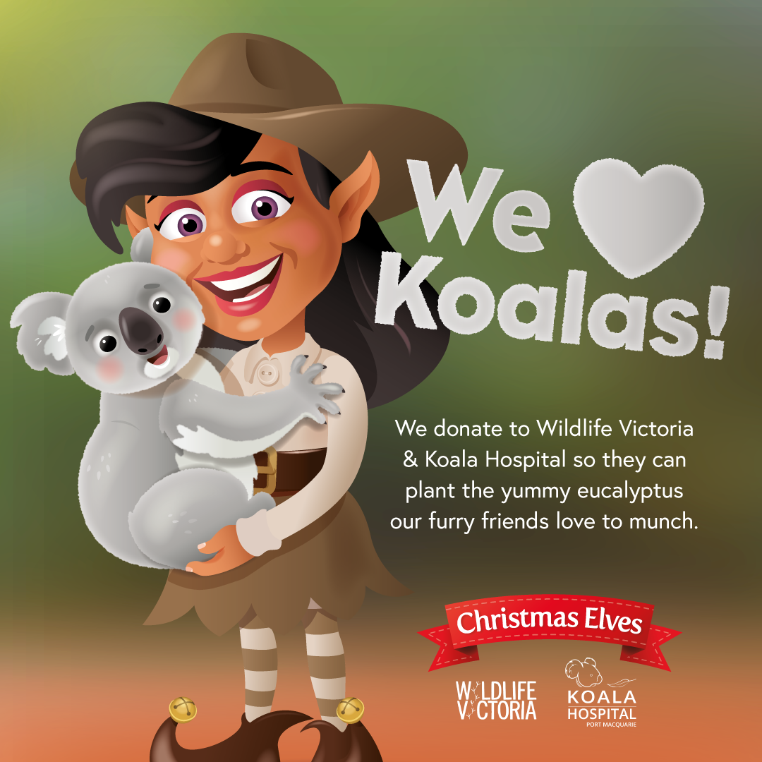 We love koalas and they need our help. Help us donate to our favourite ...
