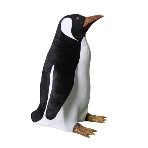 Meet Ramon, the Baby Penguin - Your Adorable Companion