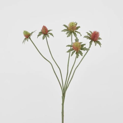 Red Green Thistle Spray x5 - 62cm - Christmas Elves