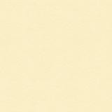 My Colors Cardstock 12 x 12 paper Classic - Ivory (T48807) - The Rubber ...