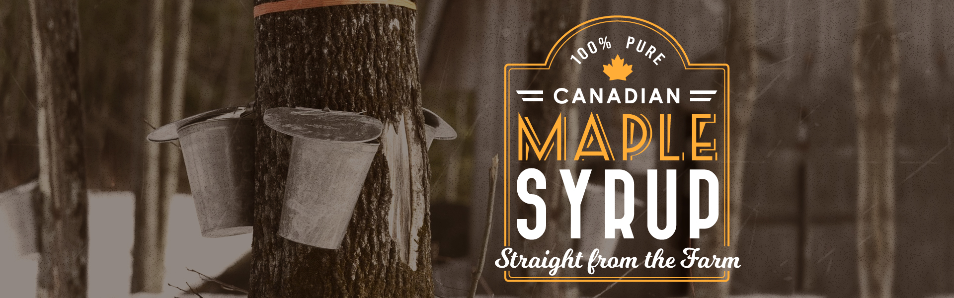 Maple Syrup – Maple Sugar - Organic Maple Syrup | MapleSyrupWorld