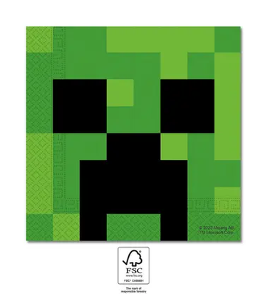 Minecraft Napkins (20 Pack) | MineCraft Party Supplies