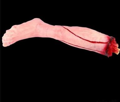 Halloween Vinyl Severed Leg | Halloween Decorations