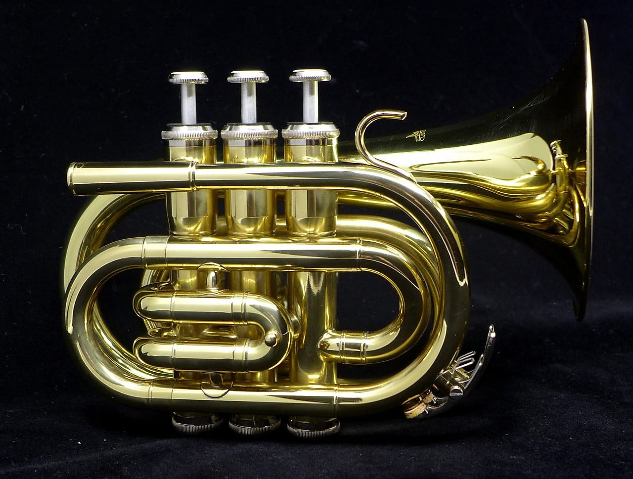 ACB Pocket Trumpet!