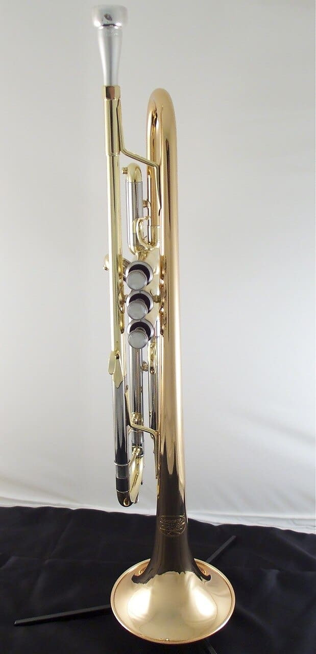 Manchester Brass Professional Bb Trumpet in clear lacquer with gold ...