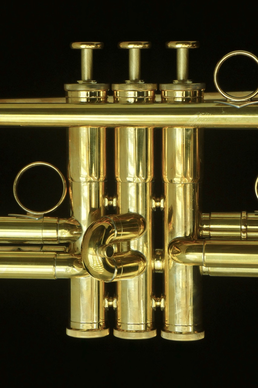Blackburn L1 Trumpet!
