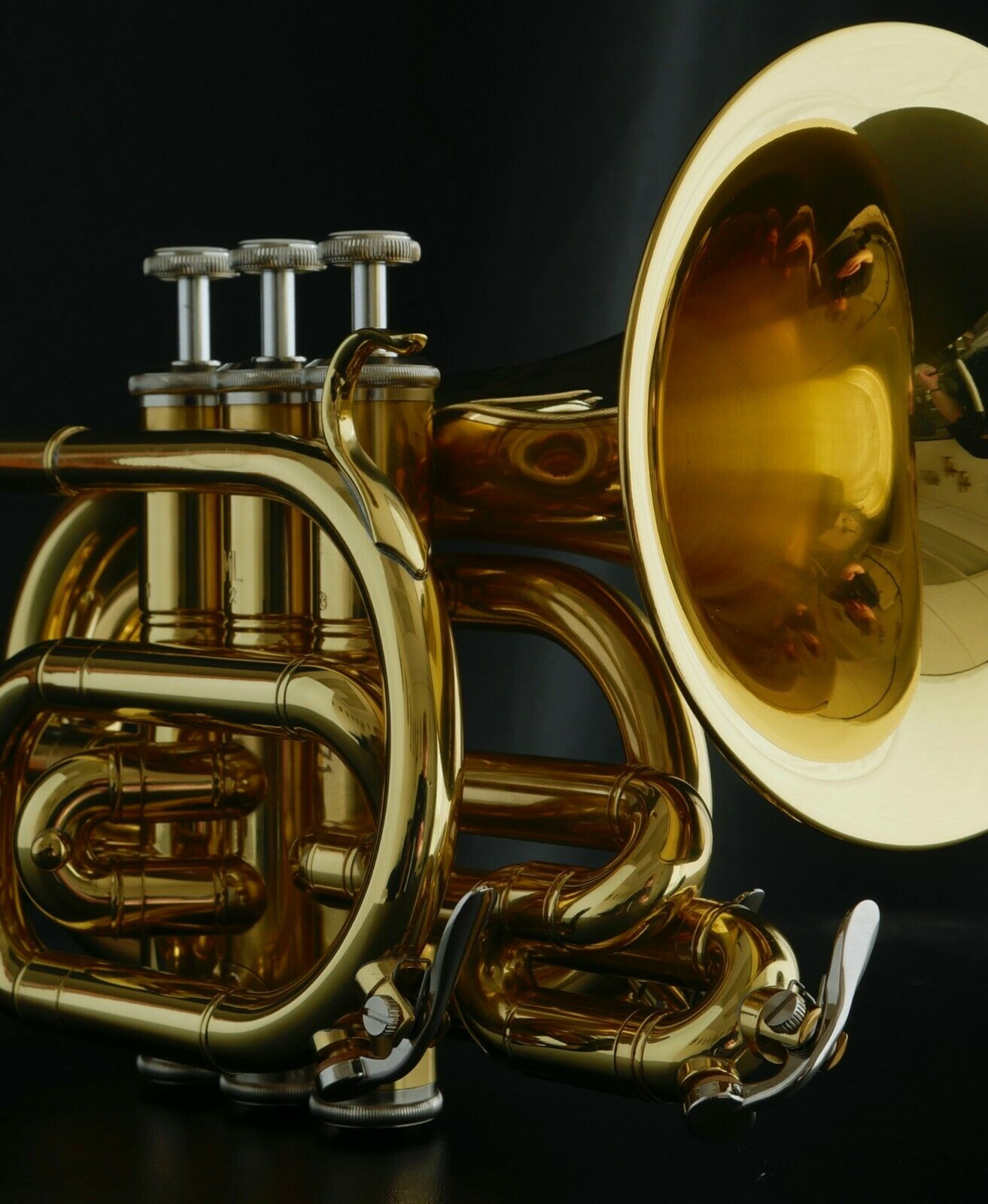 Manchester Brass Large Bell Pocket Trumpet in Polished Lacquer TPT MAN ...