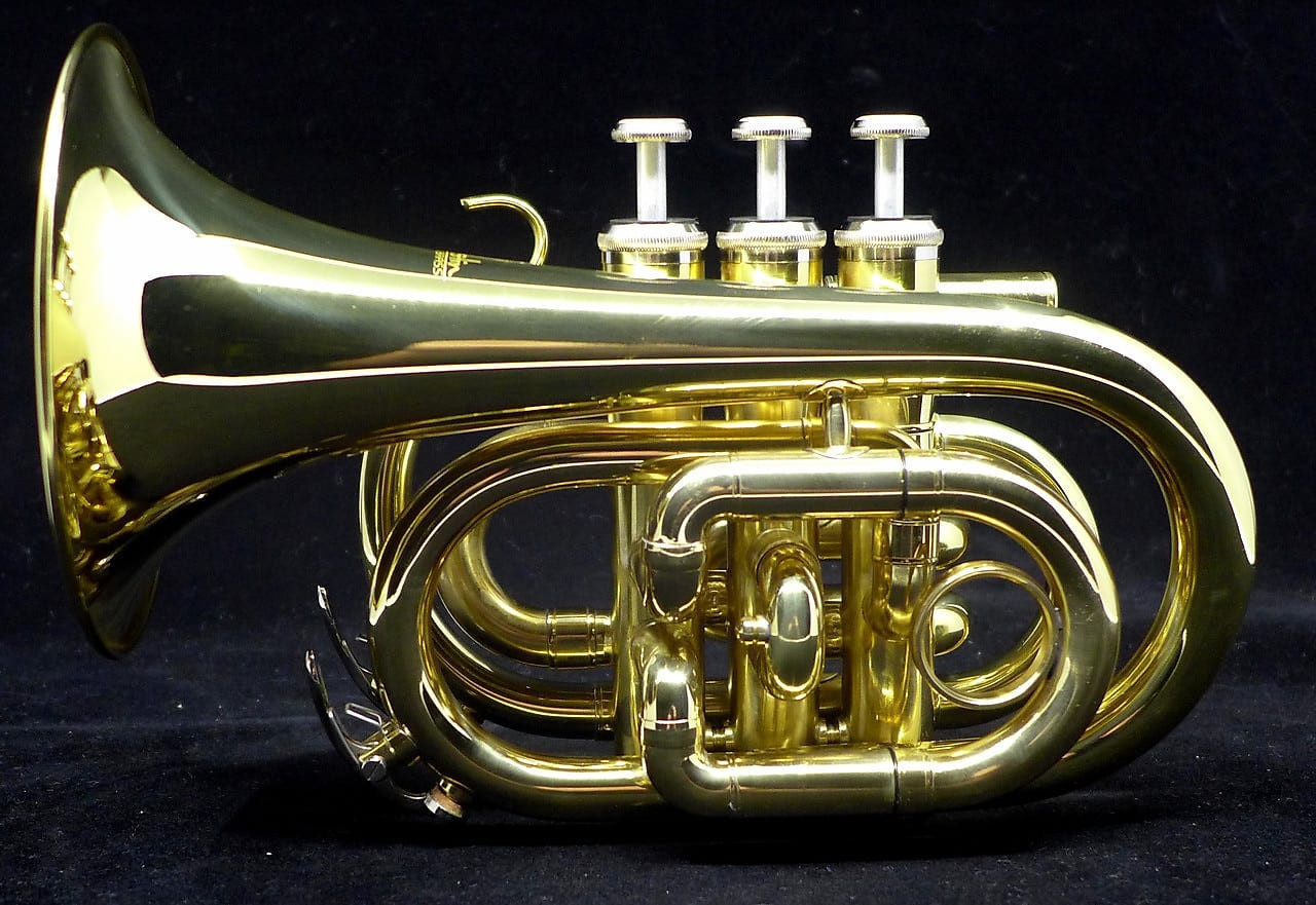 ACB Doubler's Large Bell Pocket Trumpet LBPKT ACB LB POCKET Bb Trumpets ...