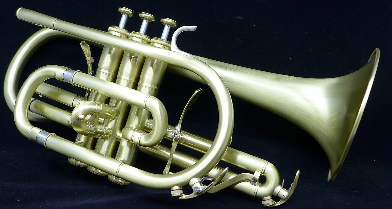 ACB Doubler's Dual Trigger Large Bore Shepherd's Crook Cornet ACBTRDCor ...