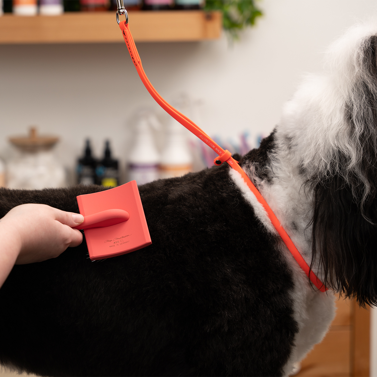 Jelly Pet Grooming Loop | Multicolor 6 Pack