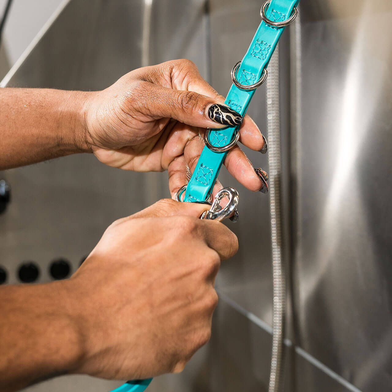 Jelly Pet Grooming Loop Extender