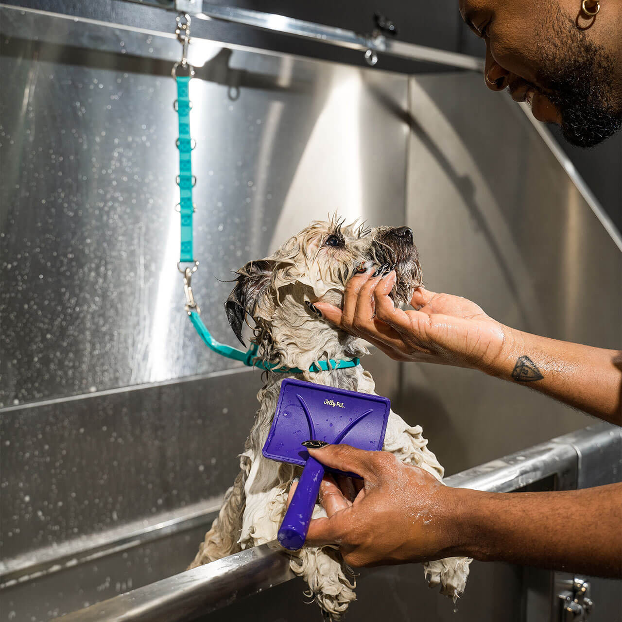 Jelly Pet Grooming Loop Extender