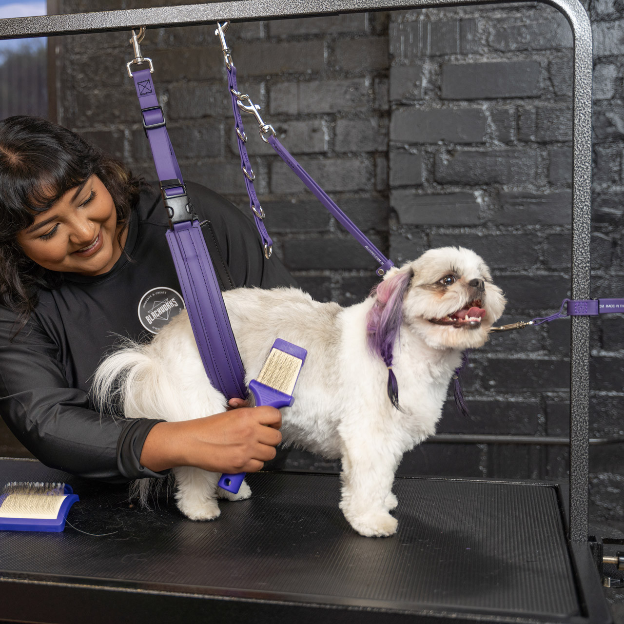 Jelly Pet Pro Pack | An Essential For Safe and Comfortable Grooming