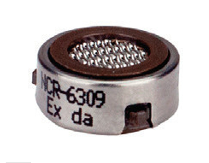 RKI Instruments Replacement Sensor (LEL 0-100% for for GX-3R / GX3R Pro ...