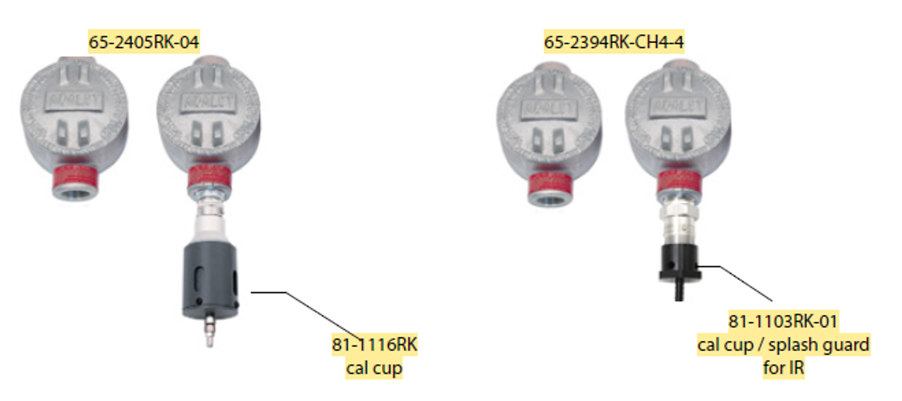 RKI Instruments - S2 Remote Mount Sensor/Transmitter - TG Technical Services