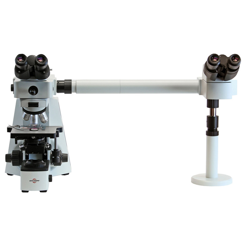 ACCU-SCOPE EXC-400 Dual View Microscope, Side by Side - New York ...