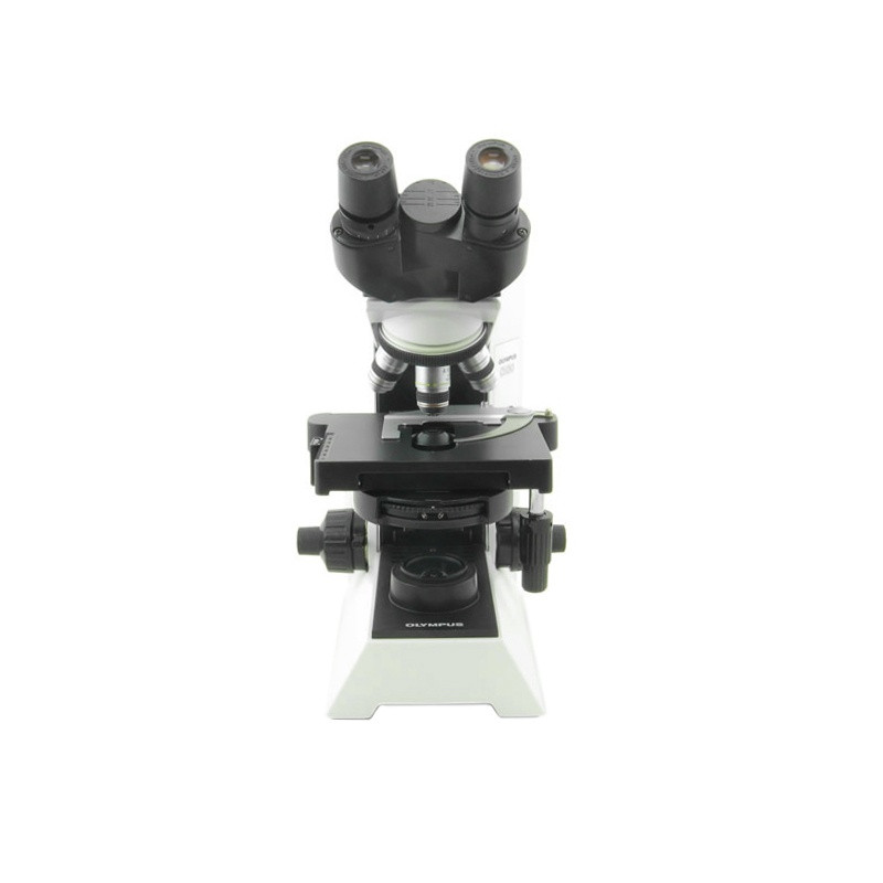 Olympus CH30 Microscope - A Plan 10x, 20x, 40x and 100x with Phase ...