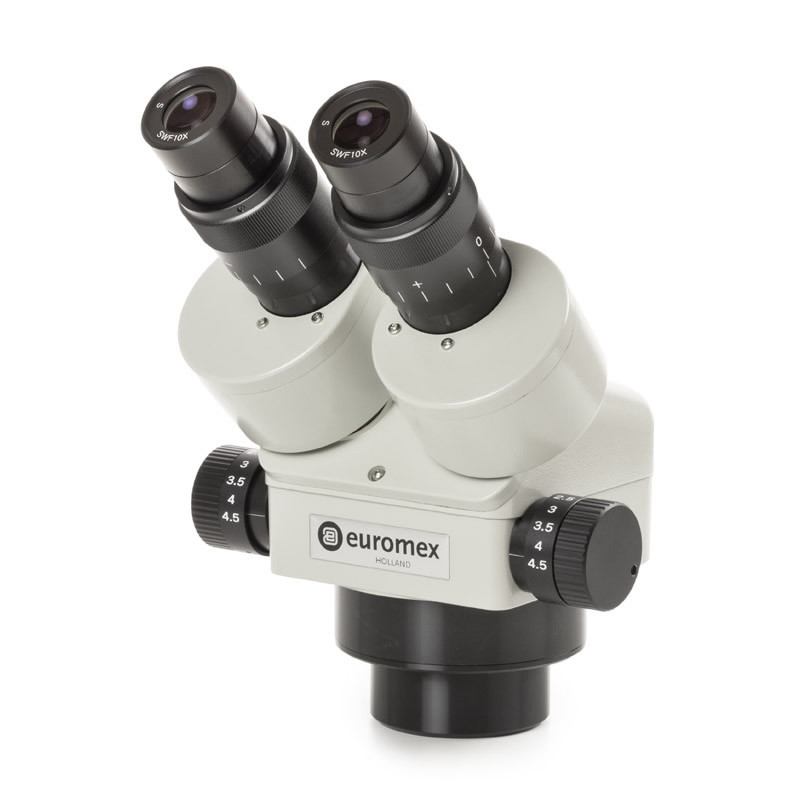 Euromex Z Series Stereo Zoom Microscope on Pillar Stand - New York ...