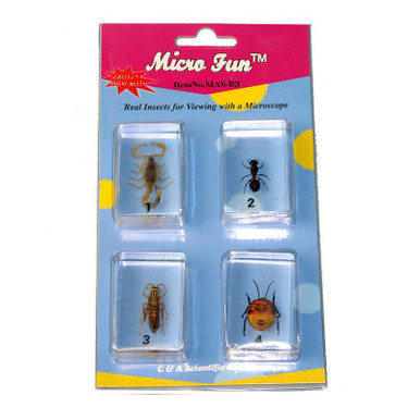 Micro Fun B3 Bug Blocks Specimens - New York Microscope Company