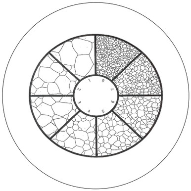 Grain Size Reticle, Untwinned 1 - 8 - New York Microscope Company