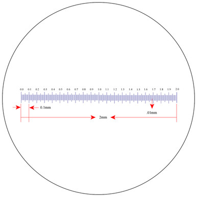 Slider Micrometer, 2mm/200 Divisions - New York Microscope Company
