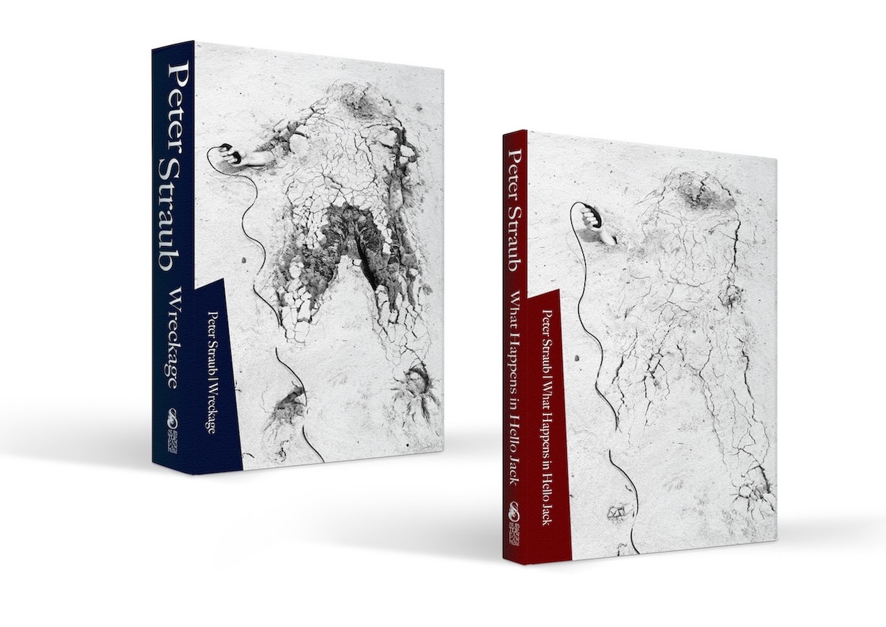 Announcing WRECKAGE and WHAT HAPPENS IN HELLO JACK by Peter Straub ...