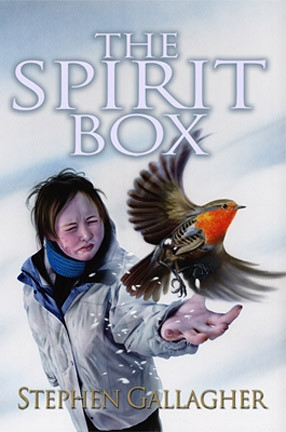 Spirit Box - Subterranean Press