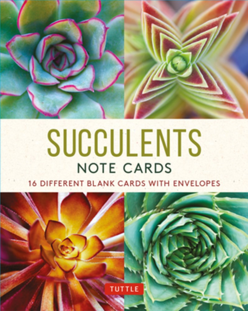 Succulents 16 Note Cards | Jenny K.