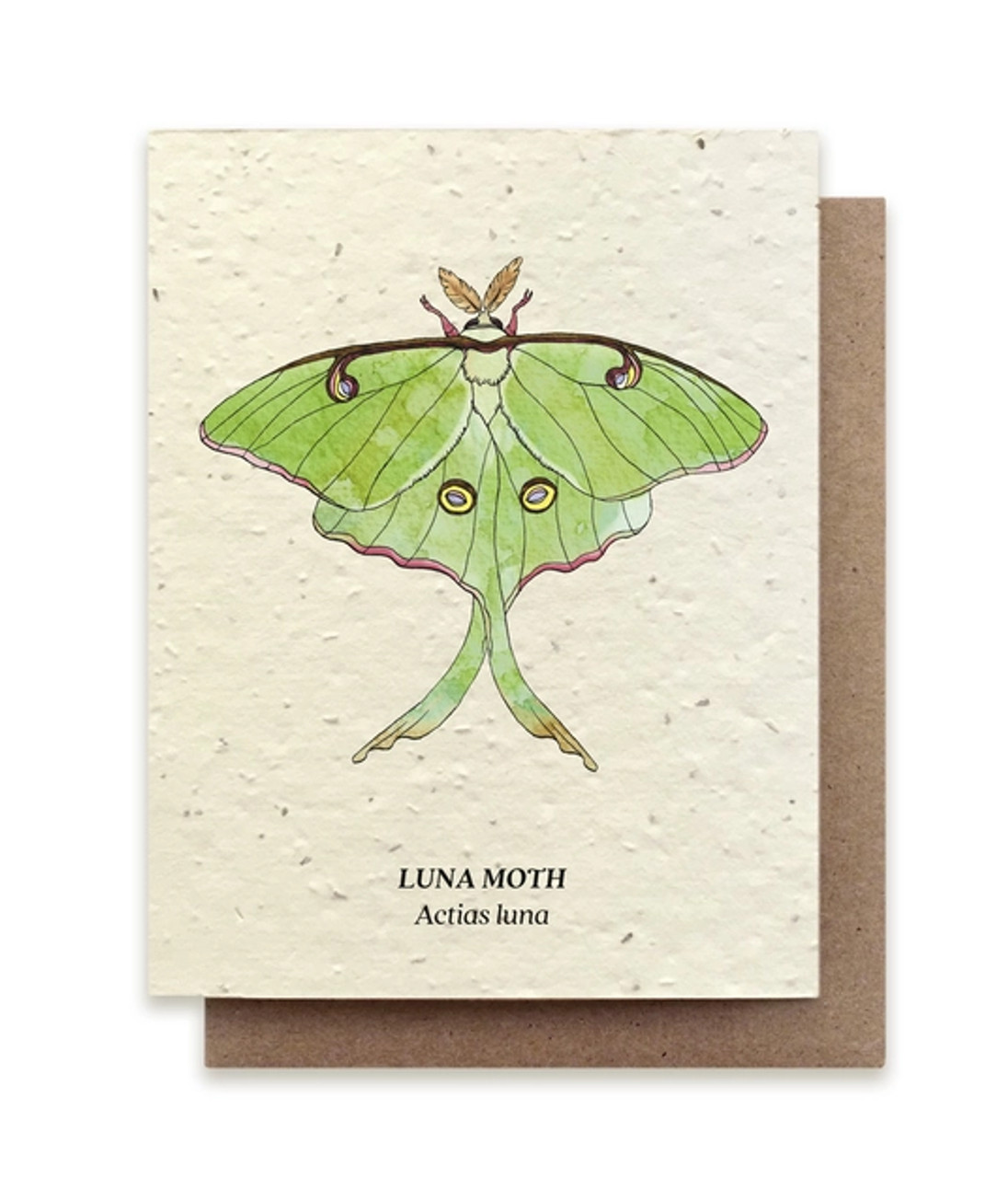 Lunamoth Plantable Wildflowerseed Card Smallvictoriesjennyk
