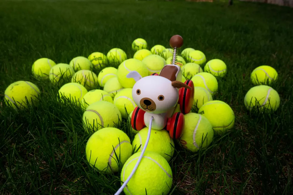 Wiggles the Dog Pull Toy by Jack Rabbit Creations | Jenny K.