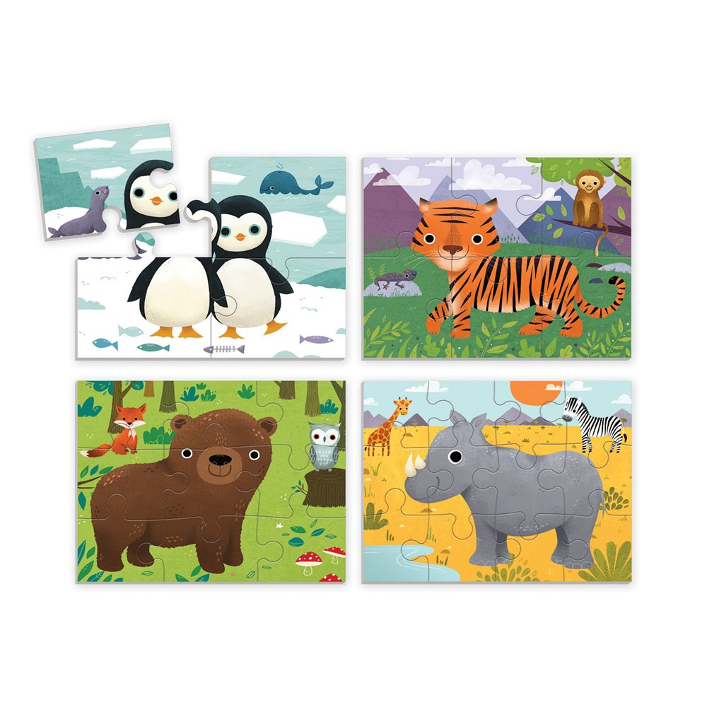 Animals of the World 4-in-a-Box Puzzle Set from Hachette | Jenny K