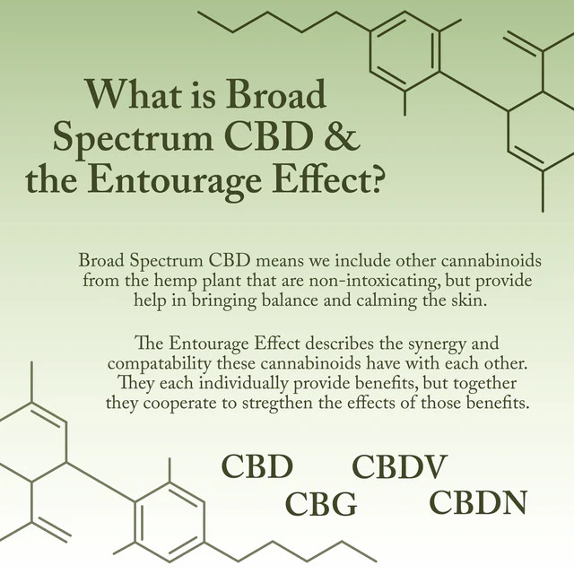 CBD Broad Spectrum Hand & Body Lotion from The Naked Bee | Jenny K