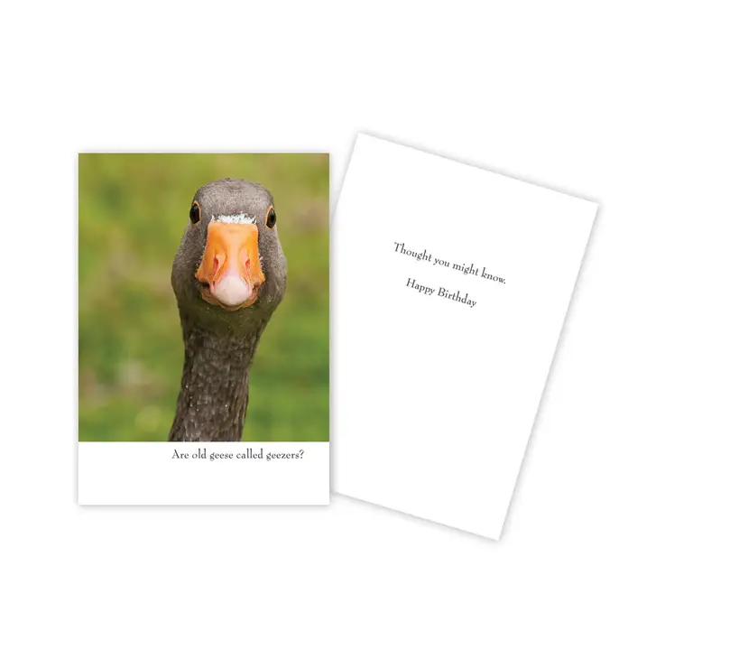 Old Geese Called Geezers BirthdayCard SunDayGreetings|JennyK