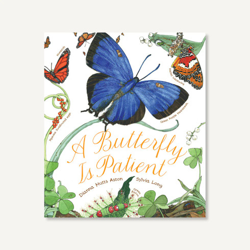 A Butterfly Is Patient from Hachette | Jenny K