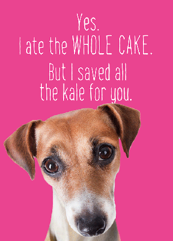 Fur Kale Birthday Card J&M Martinez | Calypso | Jenny K.