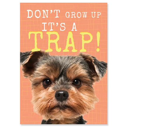Trap Birthday Card J&M Martinez | Jenny K.