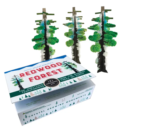 Crystal Growing Redwood Forest Copernicus Toys | Jenny K.
