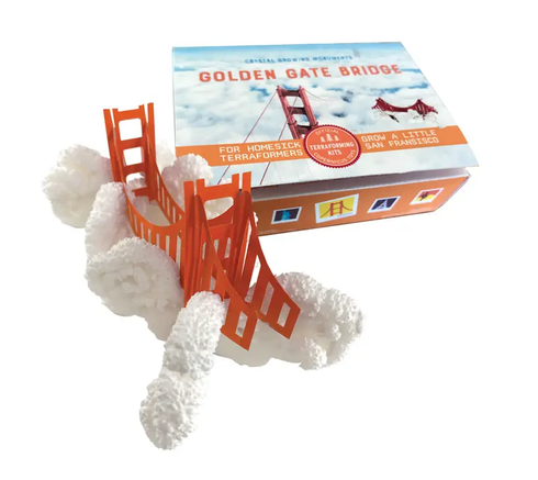 Crystal Growing Golden Gate Bridge Copernicus Toys | Jenny K