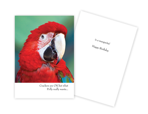 Red Parrot Birthday Card Sun Day Greetings | Jenny K.