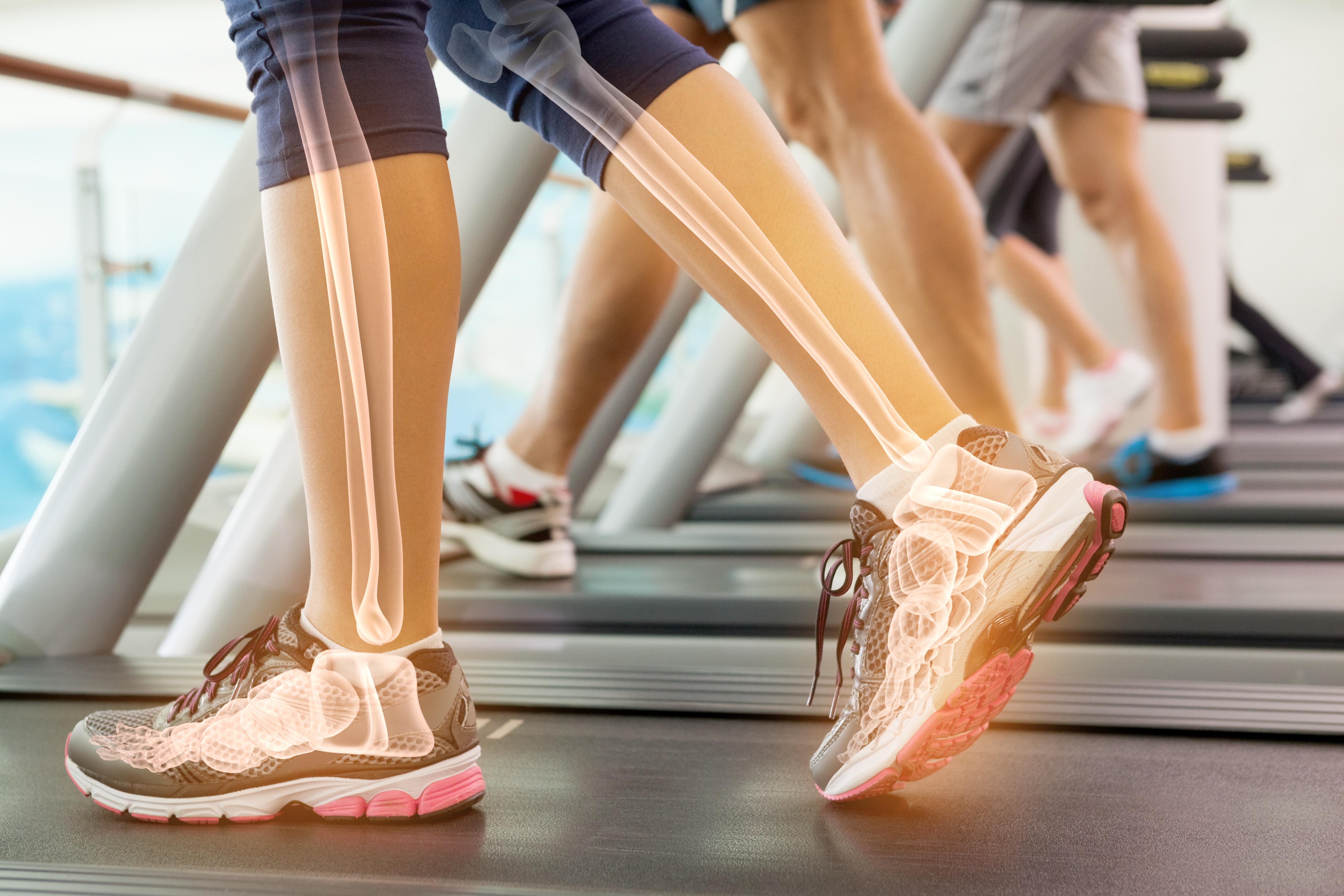How Boron Can Benefit Your Bones, and More - Wonder Laboratories