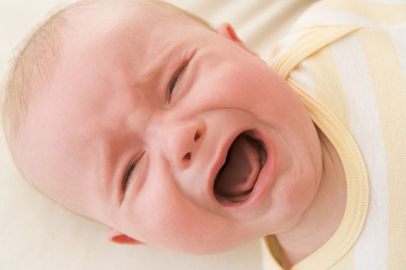 Causes of Colic a Health-Care Conundrum - Wonder Laboratories