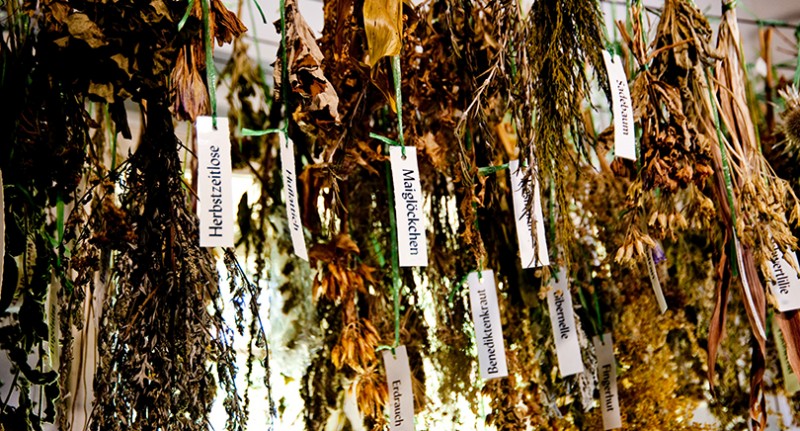 What Does Homeopathic Really Mean? - Wonder Laboratories