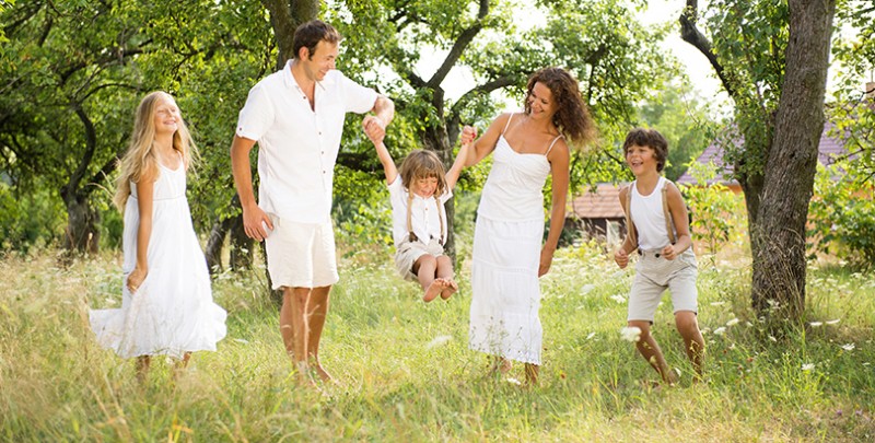 What Is Pycnogenol, and What's It Used For? - Wonder Laboratories