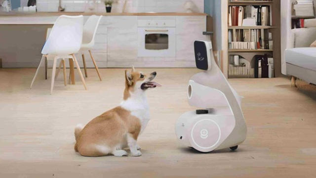How AI is Helping Our Pets - Nicole and Baby Luxury Boutique
